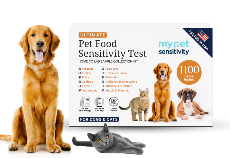 At-home pet food sensitivity tests for your dog or cat – My Pet Sensitivity